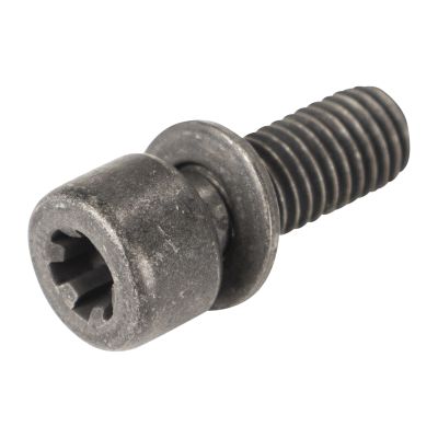 Screw for the clutch buy online | Augustin Group
