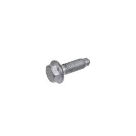 Screw for different applications buy online | Augustin Group